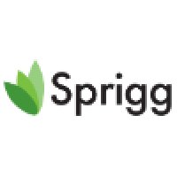 Sprigg Performance VS Smeadsoft Records | ITQlick