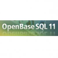 OpenBase SQL Review, Pros and Cons (Jun 2025) | ITQlick